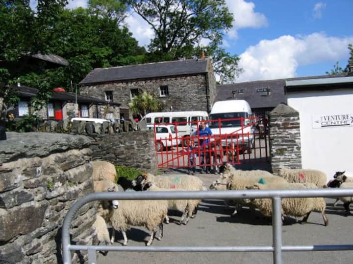 Hostel Private En-suite Room - Isle of Man