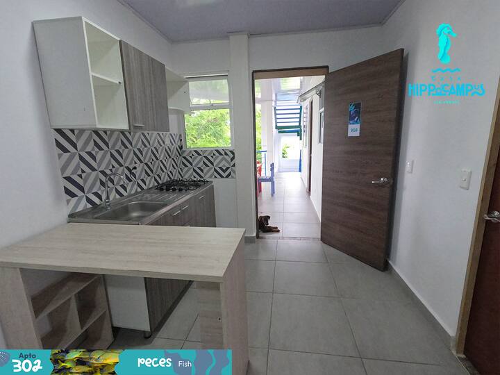 Sukha Hippocampus - Apto. Peces - San Andrés