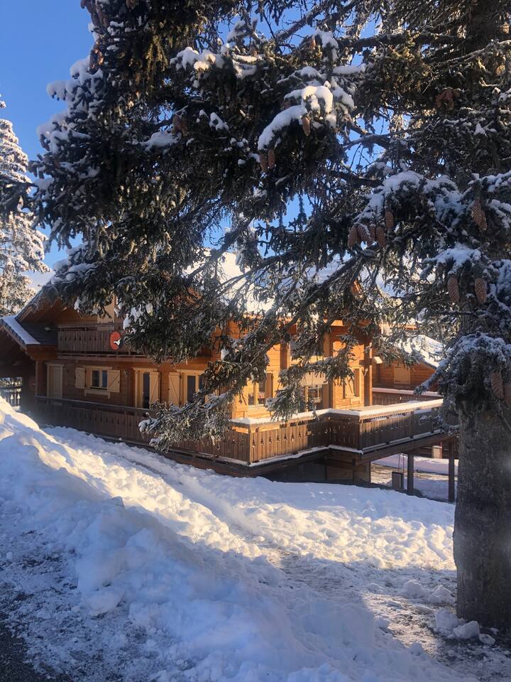 Chalet De Famille 14 Personnes, Skis Au Pied - La Joue du Loup