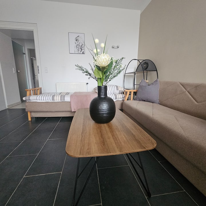 Spacious Fully-equipped City Apartment - Vienna