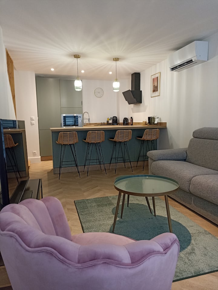 Appartement Vaux Le Vicomte - Barbizon