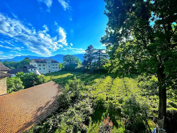 Apartment Vicolo Sabbia - Bolzano