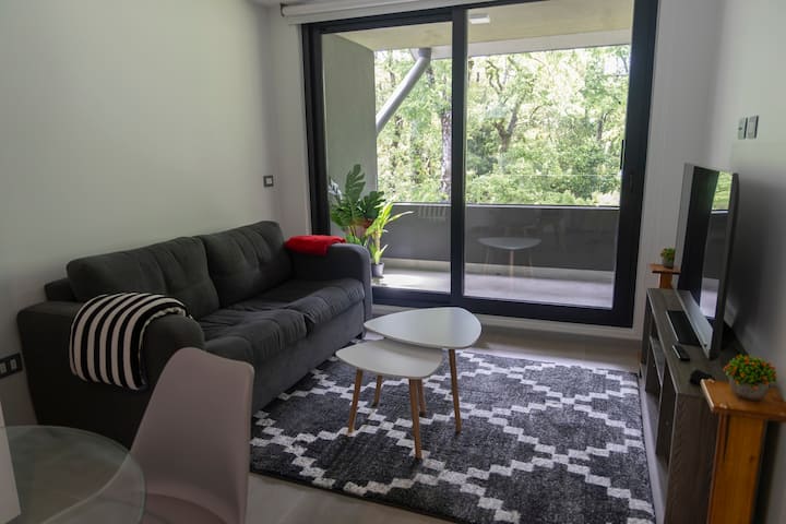 Departamento A 5 Mins. De Pucón - Pucón