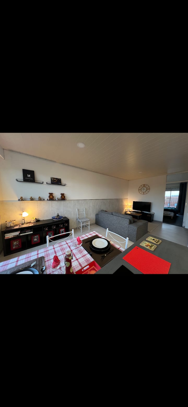 Appartement T2 Dunkerque - Dunkerque