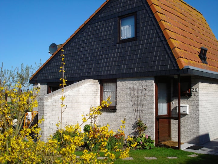 Huisje Tulpenzicht - Julianadorp