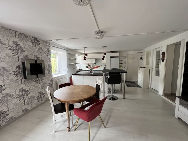2p 50m2 - Spacieux, ÉQuipé, Moderne, À La Montagne - Ottrott