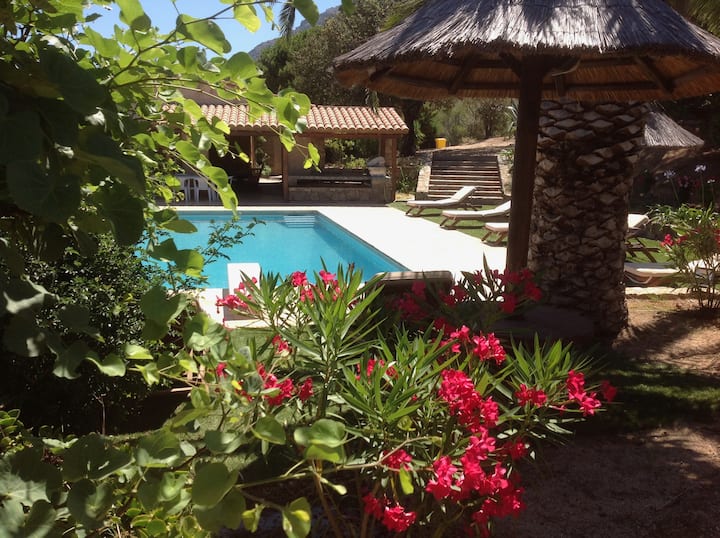 Lumio Villa Ascopa, Piscine Chauffée Et Vue  Mer - Calvi