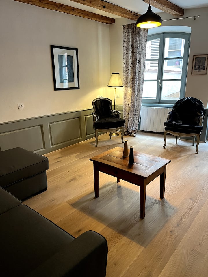 Superbe 3p Meublé Petite France - Strassburg