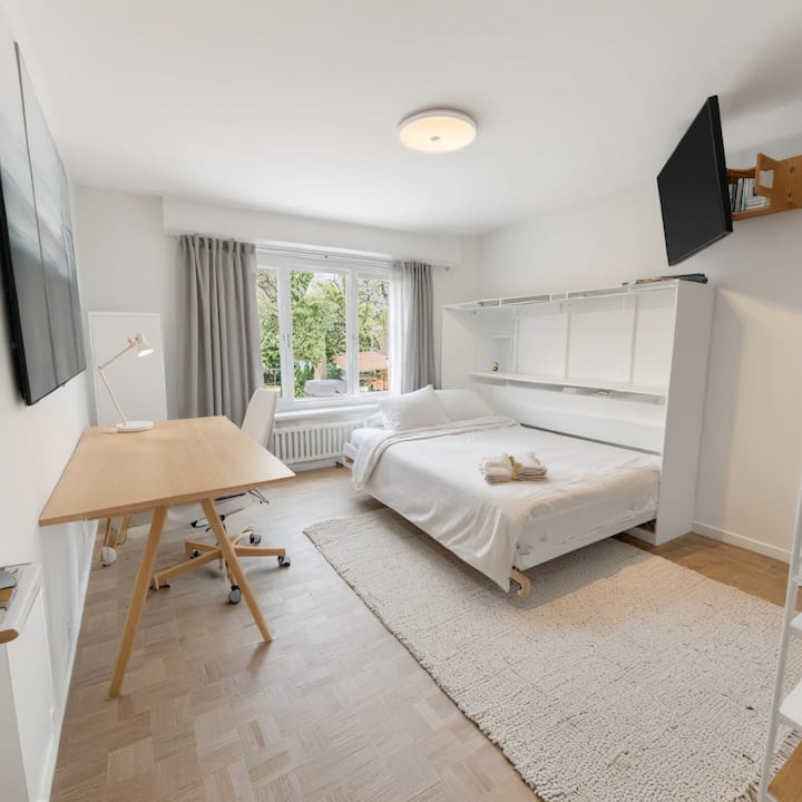 Charming Private Room Lausanne - 洛桑市