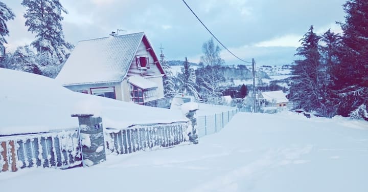 Chalet Du Pic - Besse-et-Saint-Anastaise