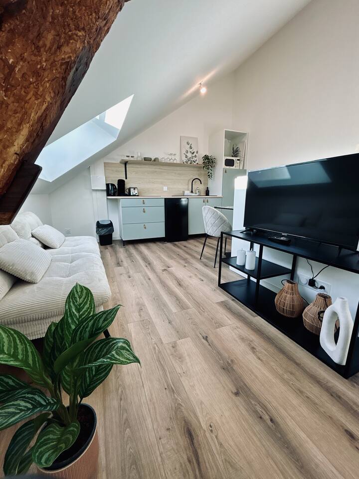 Appartement Studio Charme - Pont-Saint-Martin