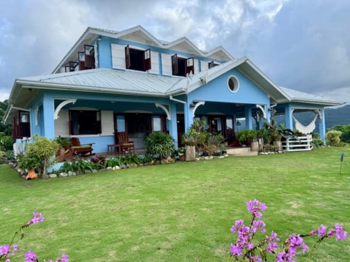 Fern Bush - Port Antonio