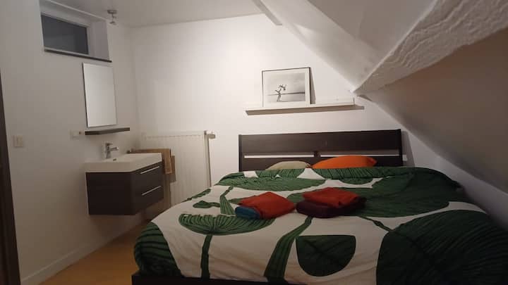 Wezienwel House (Privé 2-p Kamer In Gedeeld Huis) - Gand