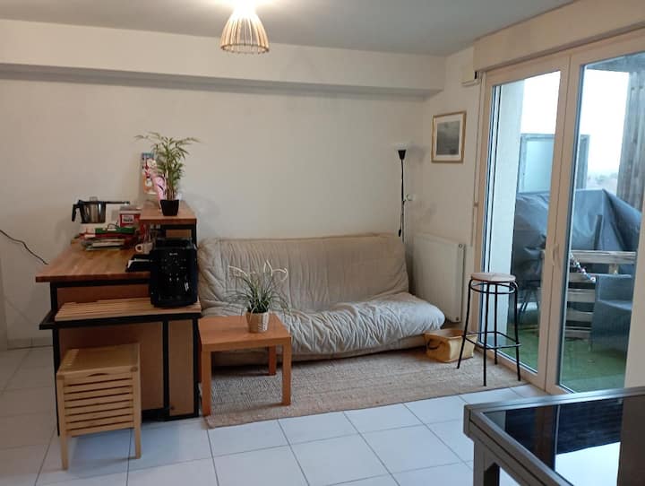 Appartement T3 En Centre Ville . - Castanet-Tolosan