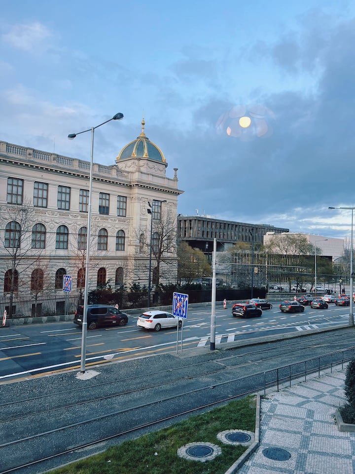 110 M2 Apt National Museum View - Prague