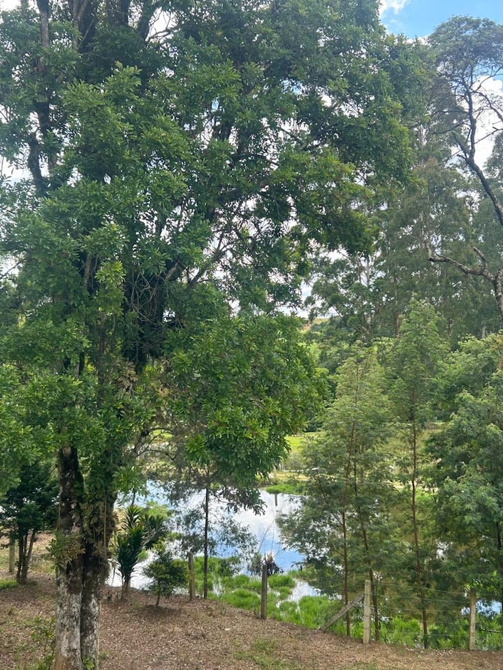 Chácara Canto Do Galo - Araucária