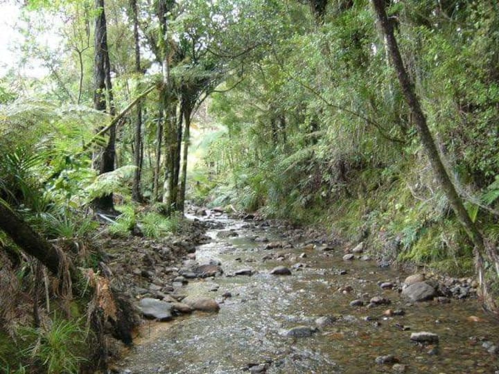Nature At Its Best - Coromandel