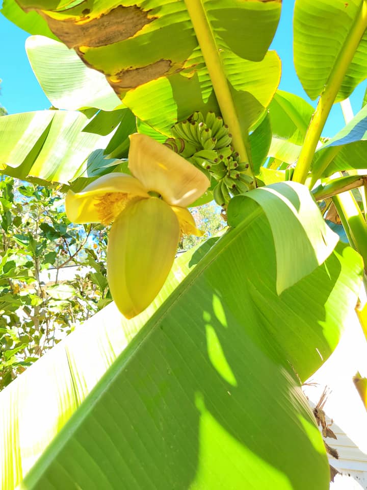 Brighton Beach Studio/guest Suite - Crystal Lake, Bluffton