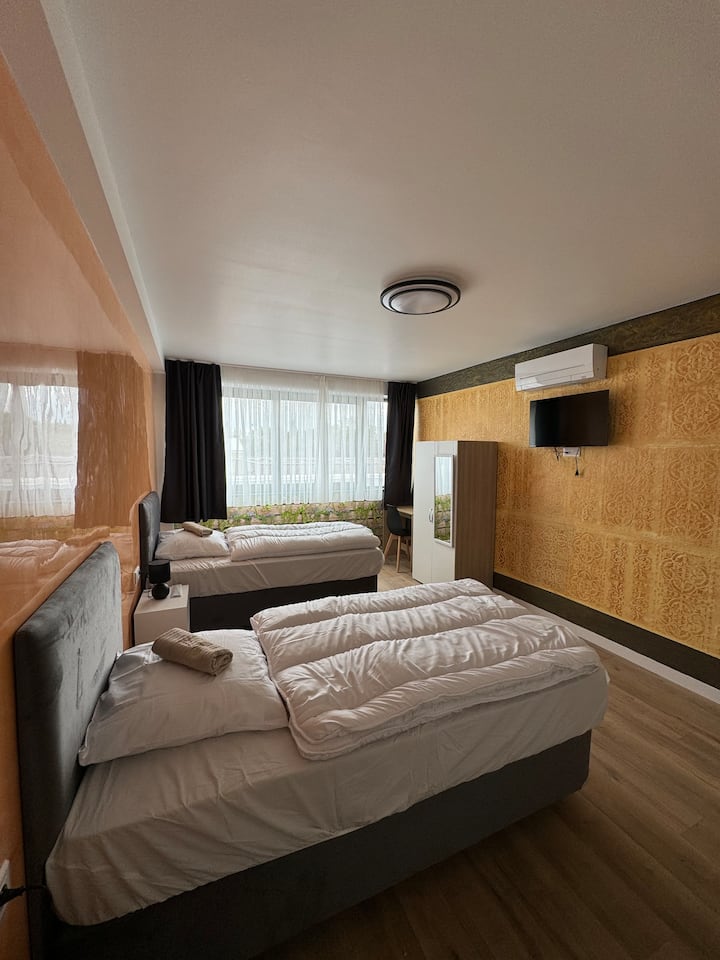 Location Chambre - Strasbourg