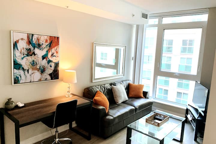 Beautiful 1 Bed 1 Bath | Richmond & Duncan - Toronto, ON