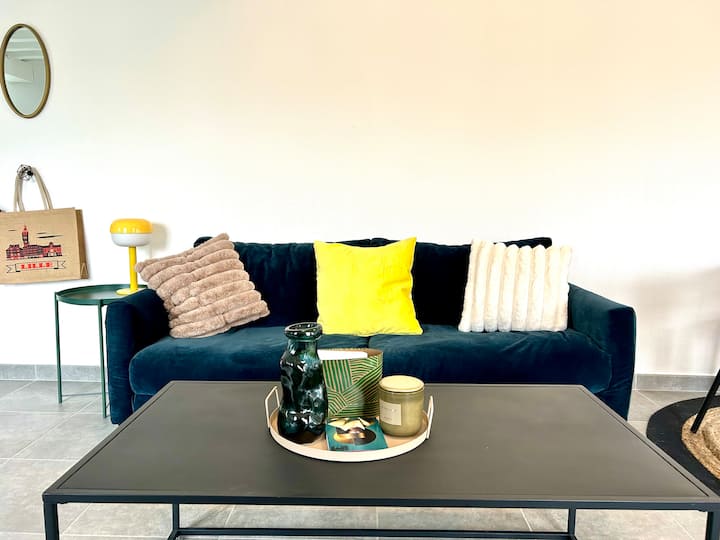 Superbe T2 Quai Du Wault ! - Lille