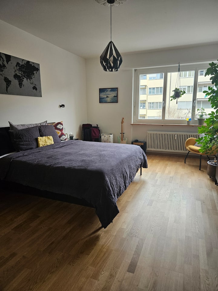 Stylisches Apartment Im Zentrum Von Zürich - Zürich