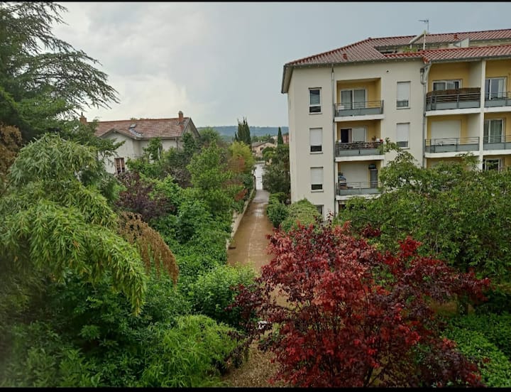 Bel Appartement - ibis Lyon Carre De Soie
