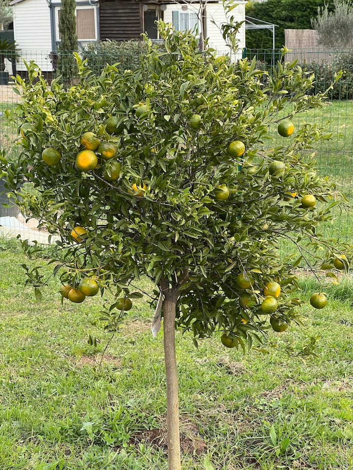 Emplacement Camping Cars - La Londe-les-Maures