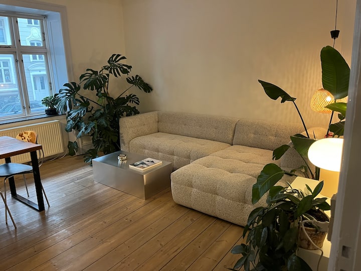 Full Apartment In ØSterbro, Kbh. - Kopenhagen