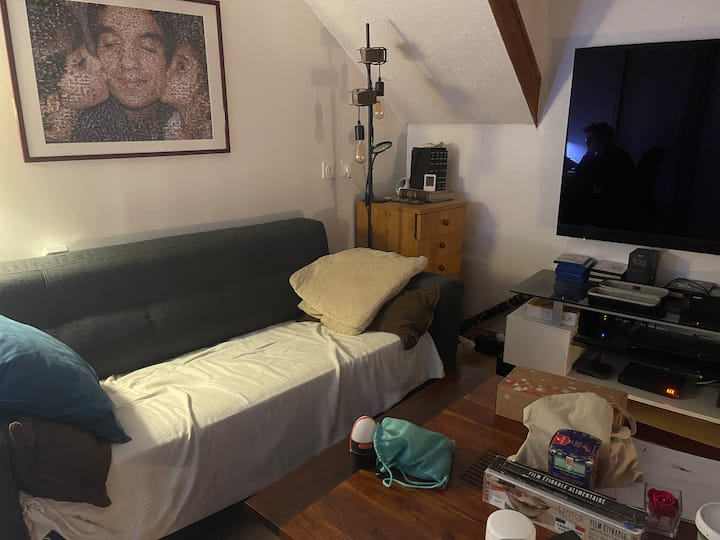 Appartement Cosy - Conflans-Sainte-Honorine