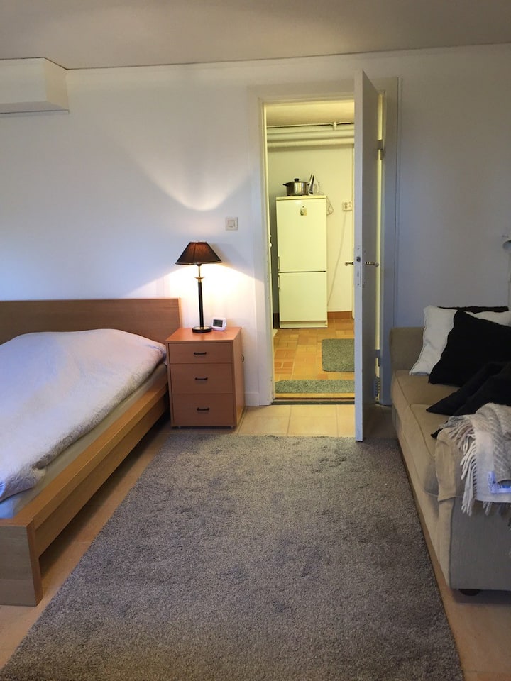Rum Med Eget Minikök Haga Umeå För Tre Personer - Umeå