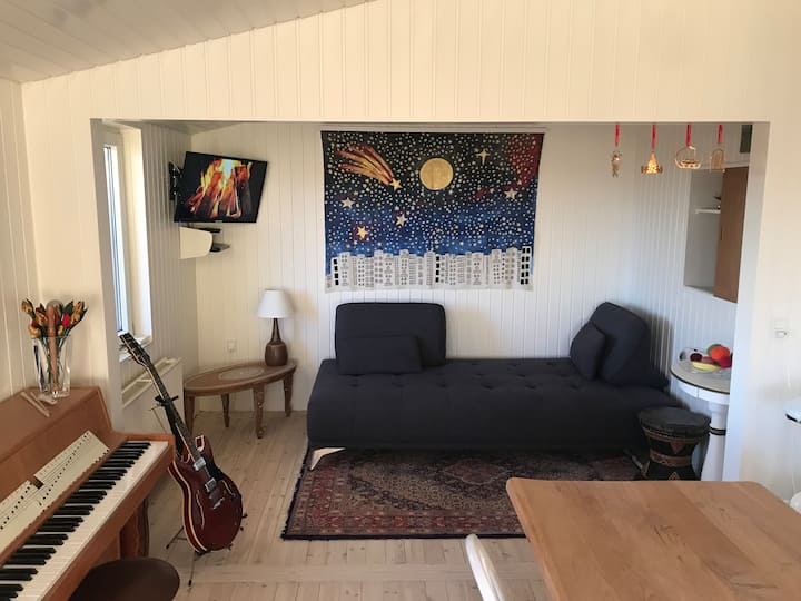 Unikt Hus  6-9 Gæster Panorama Til Koldinghus - Kolding