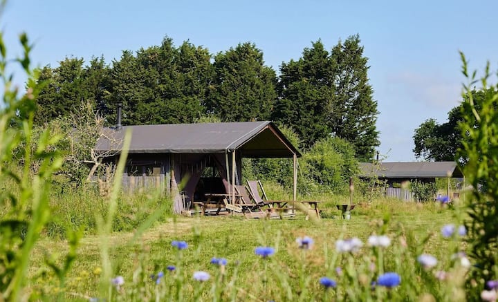 Manor Farm Glamping Full Site - Alton