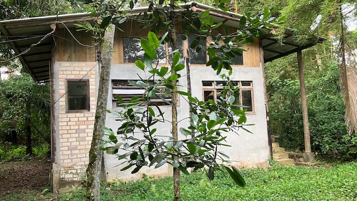 Cabana Na Mata à 500m Da Praia De Camburi - São Sebastião