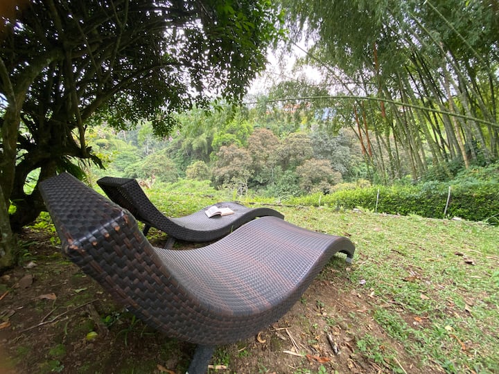 Villa Luxury Eje Cafetero With Jacuzzi And Movie - Pereira, Colombia