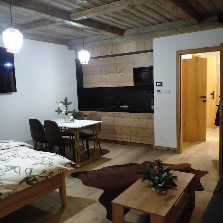 Apartmán Resident Harrachov - Harrachov