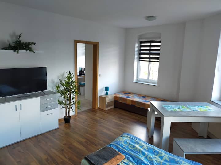 Flex Aparts - Furnished 2-room Flat In Zwickau - Zwickau