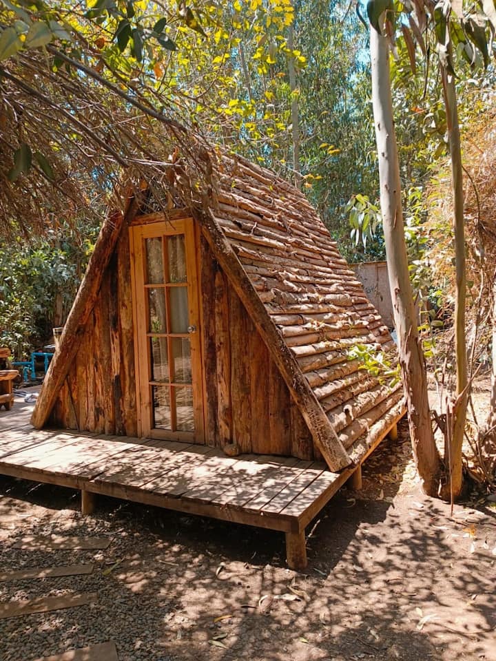 Bosques Del Paico Ciruelo - El Monte