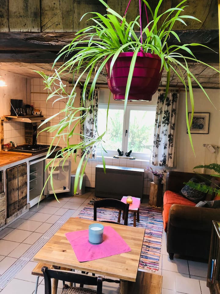 Gezellige Studio In 'T Groen - Malines