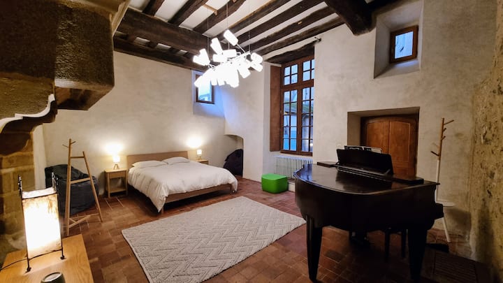 Chambre à Louer Vieux Laval - Laval, France