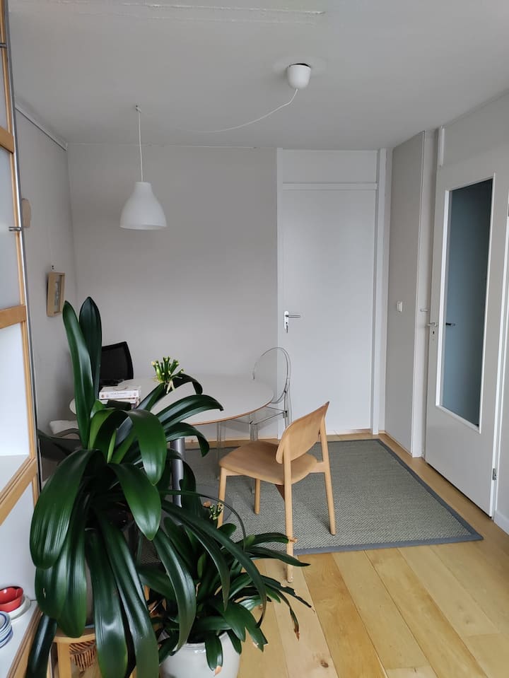 Comfy Room & Bike - City Central - Rotterdam