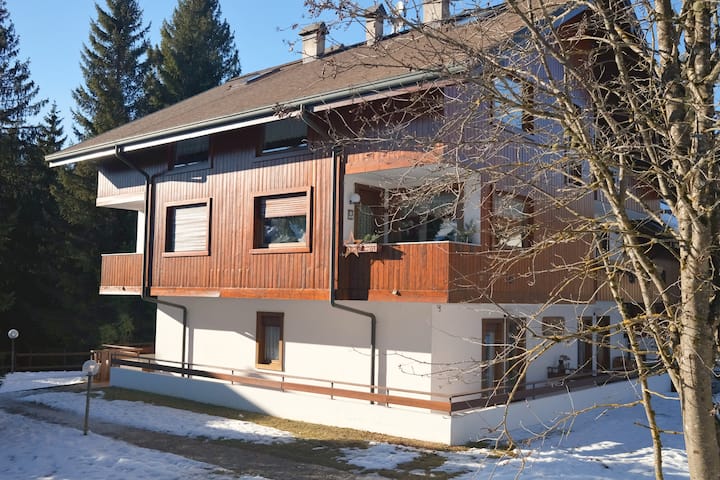 Finestra Sul Bosco [4 Camere] - Asiago