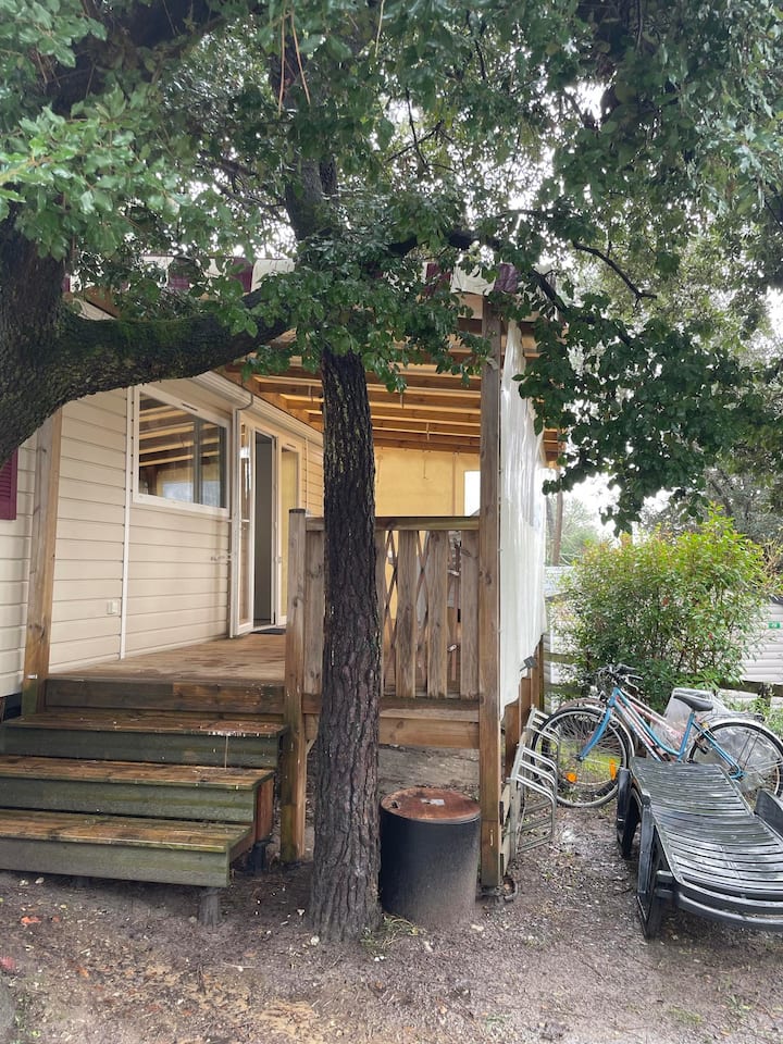Mobil-home Bonne Anse - La Palmyre