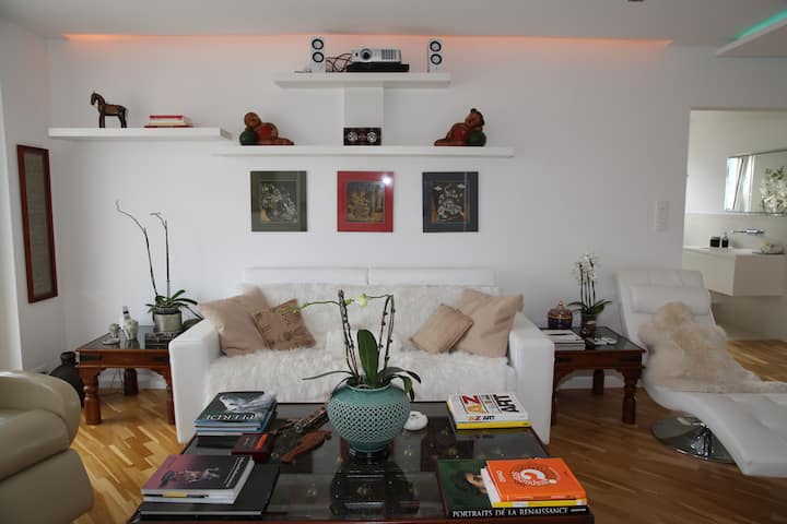 Luxury Apartment - Weil am Rhein