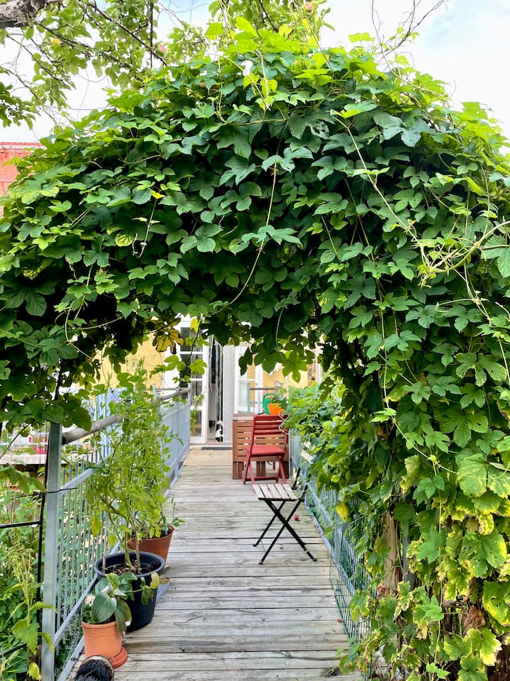 Lägenhet I Lysekil - Lysekil