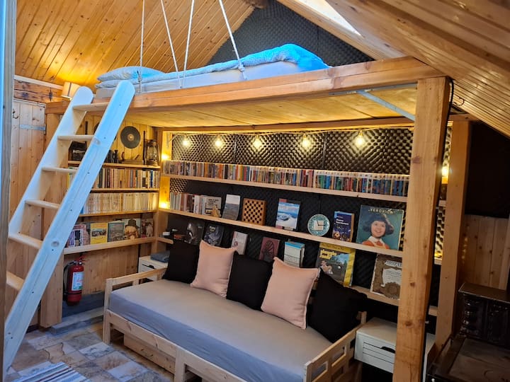 Vinyl House In The Mountains - Abrud