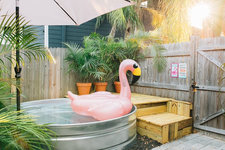 Tiny Pool Retreat | Fall Stay | Jungle Micro Apt - Tampa