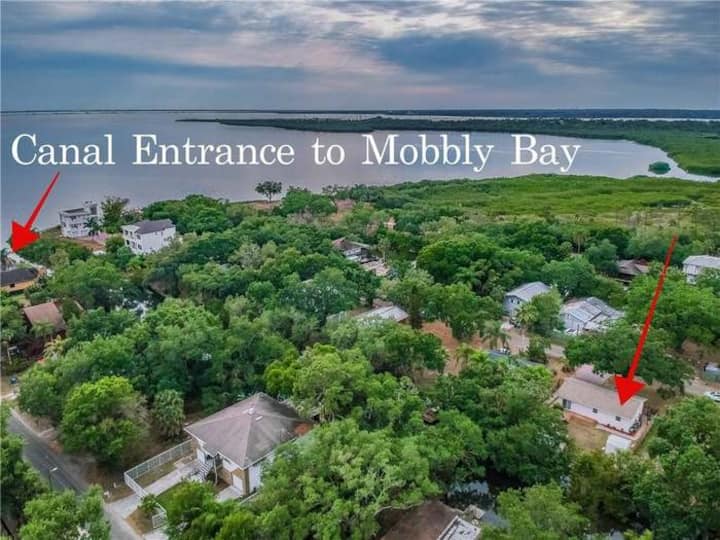 Kayak And Fishing Waterside Retreat - Tampa Bay, FL