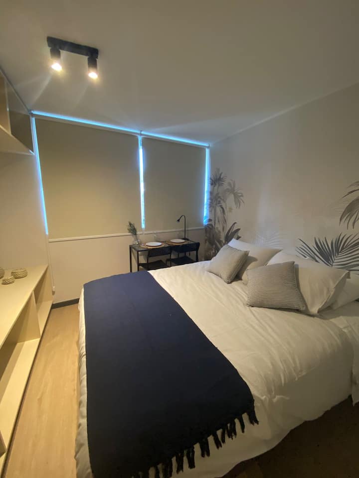 Lindo Y Céntrico Departamento - Santiago