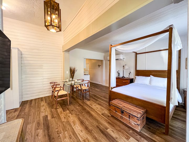 Historic Swigard House: Cozy Pied-à-terre - San Antonio